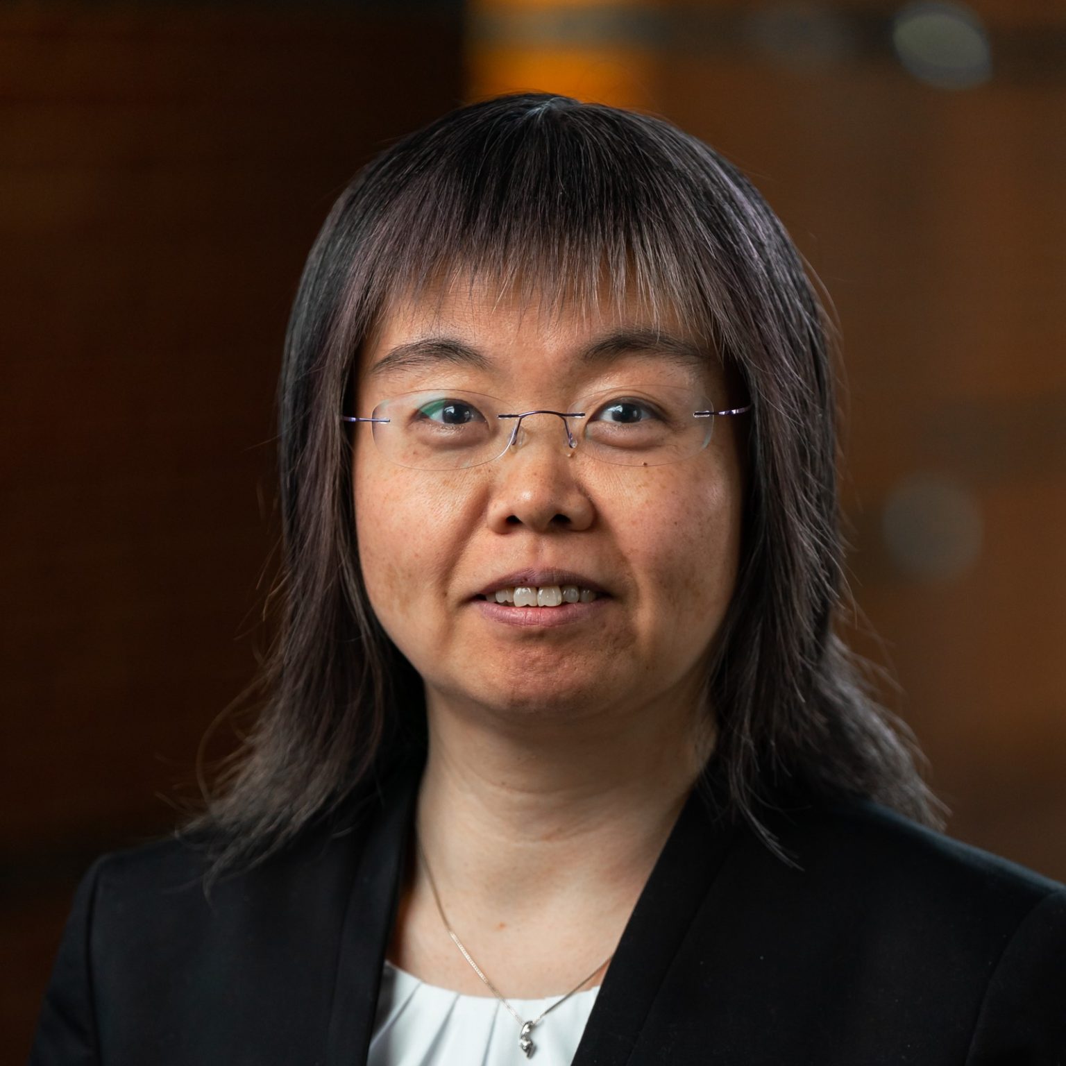 Baikun Li | Center for Biomedical & Bioengineering Innovation