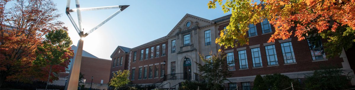 Home | Center for Biomedical & Bioengineering Innovation